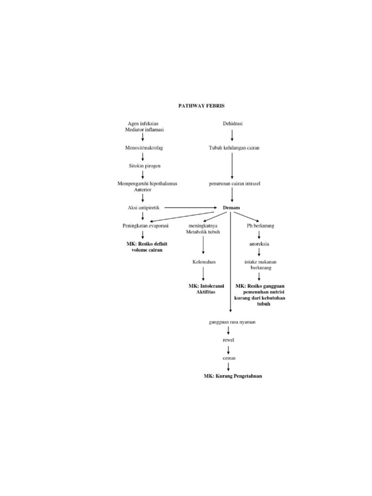 Pathway LP Febris | PDF