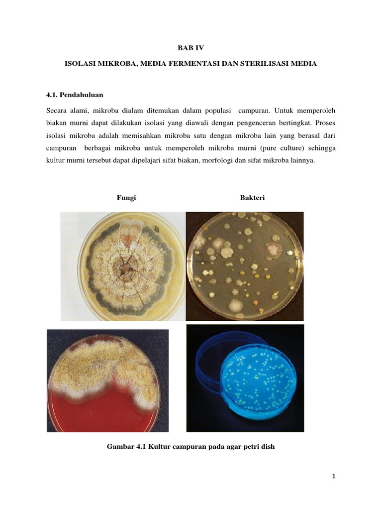 Bab 4 Isolasi Mikroba 2012 | PDF