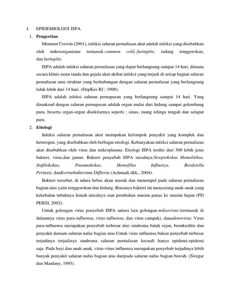 Pedoman Surveilans Ispa | PDF