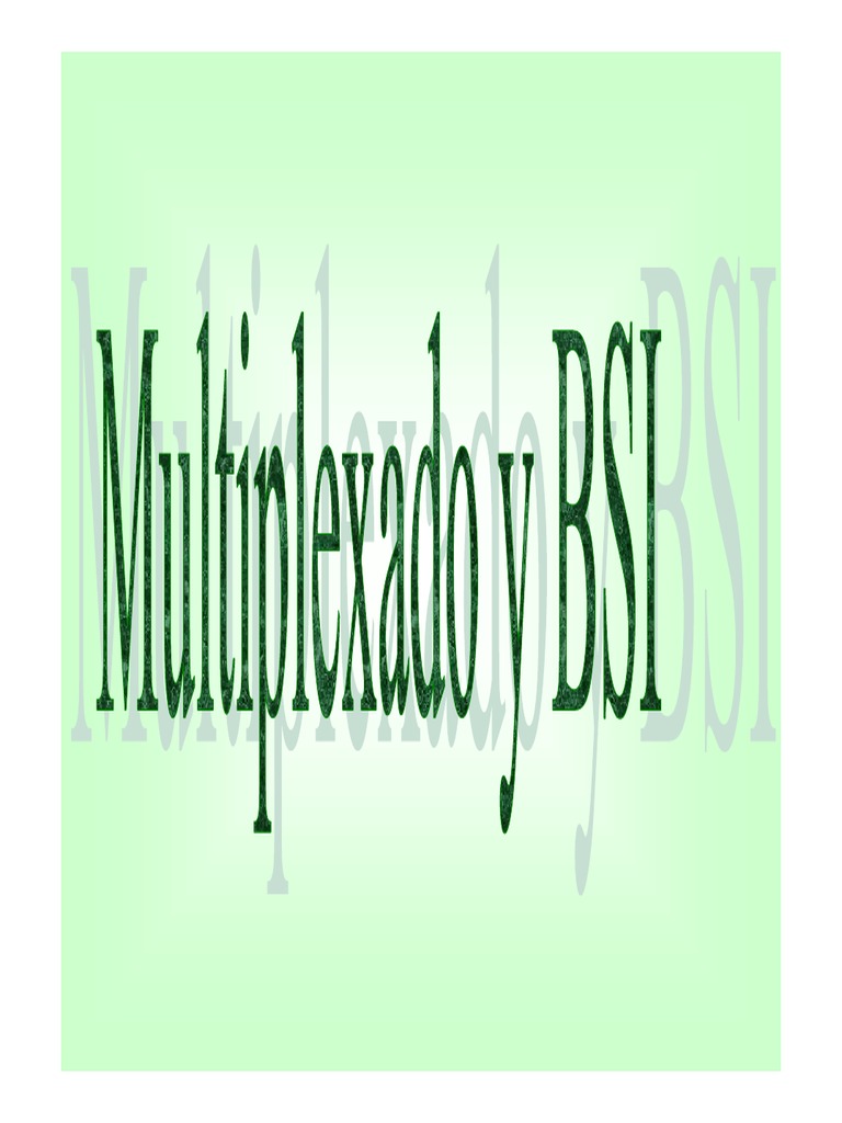 Presentacion Bsi Light | PDF | Ingeniería de Transporte | Vehículo de motor