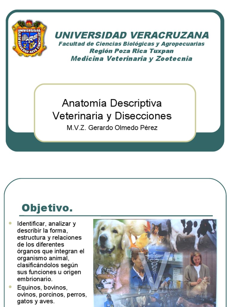 Anatomia Descriptiva Animales Domesticos PDF | PDF | Bienestar de los ...
