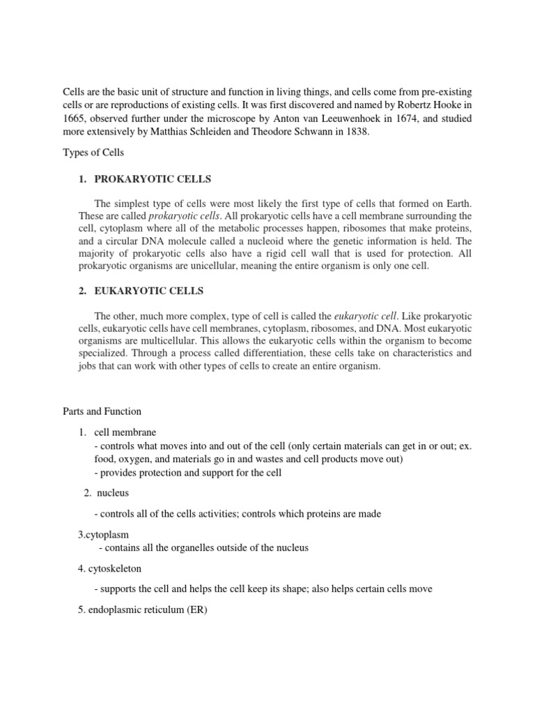 Prokaryotic Cells | Download Free PDF | Cell (Biology) | Prokaryote