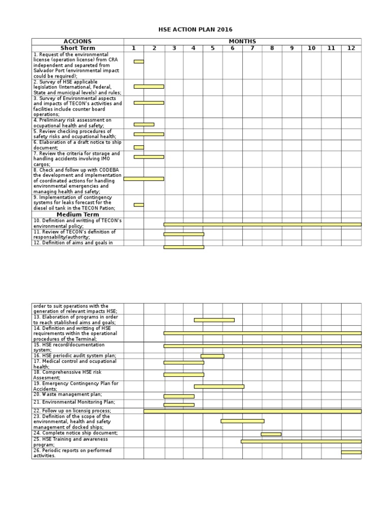 2016 HSE Action Plan Overview | PDF | Law | Science & Mathematics