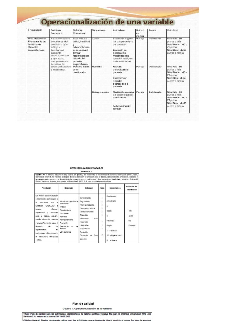 CUADROS OPERACIONALIZACION DE VARIABLES MODELOS.doc
