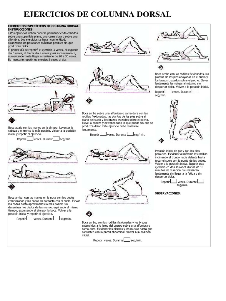 Ejercicios de Columna Dorsal | PDF | Términos anatómicos de ubicación | Pie