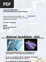 Morfologia Cebada 2020 | PDF | Cebada | Fertilizante