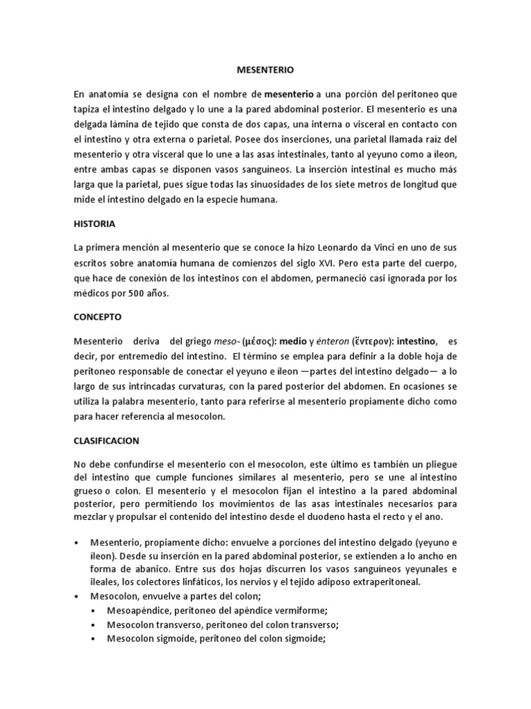 Anatomía y Función del Mesenterio | PDF | Anatomia animal | Anatomía