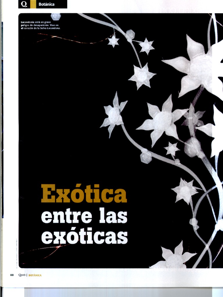 lacandonia schismatica | Plantas | ADN