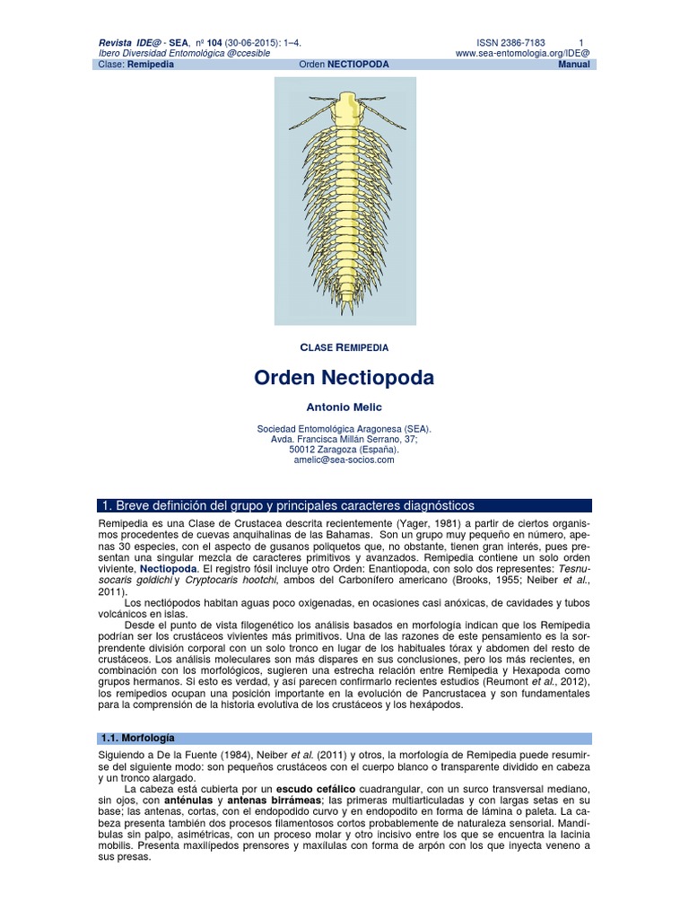 Remipedia: Crustáceos de Cuevas Anquihalinas | PDF | Artrópodos | Organismos