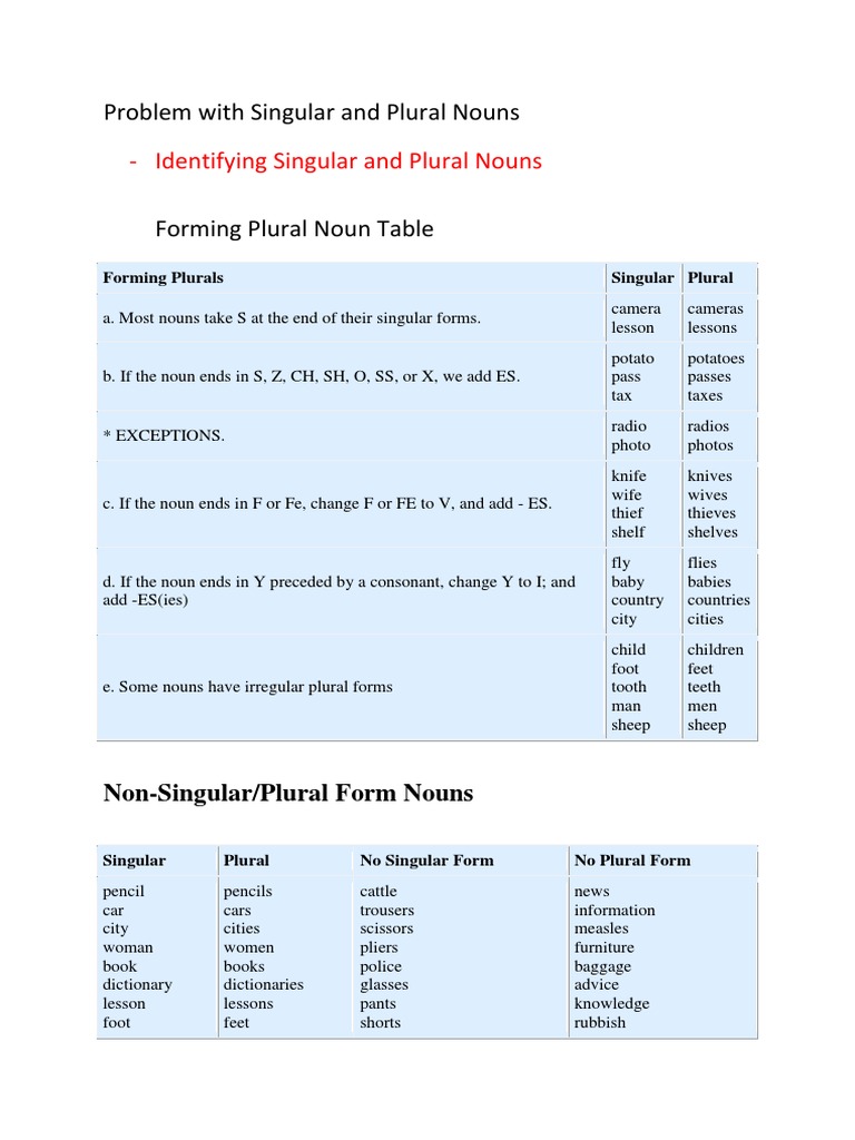Singular vs. Plural Nouns Guide | PDF | Grammatical Number | Noun