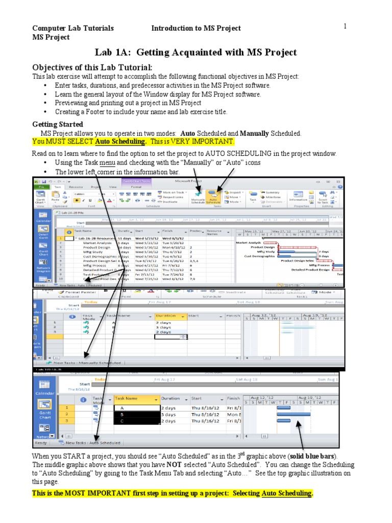 MS Project Lab Tutorials | PDF | Point And Click | Icon (Computing)