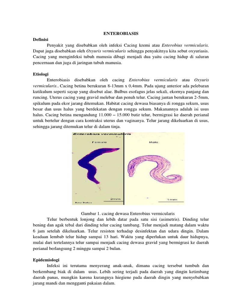 Enterobiasis: Panduan Medis | PDF | Sains & Matematika
