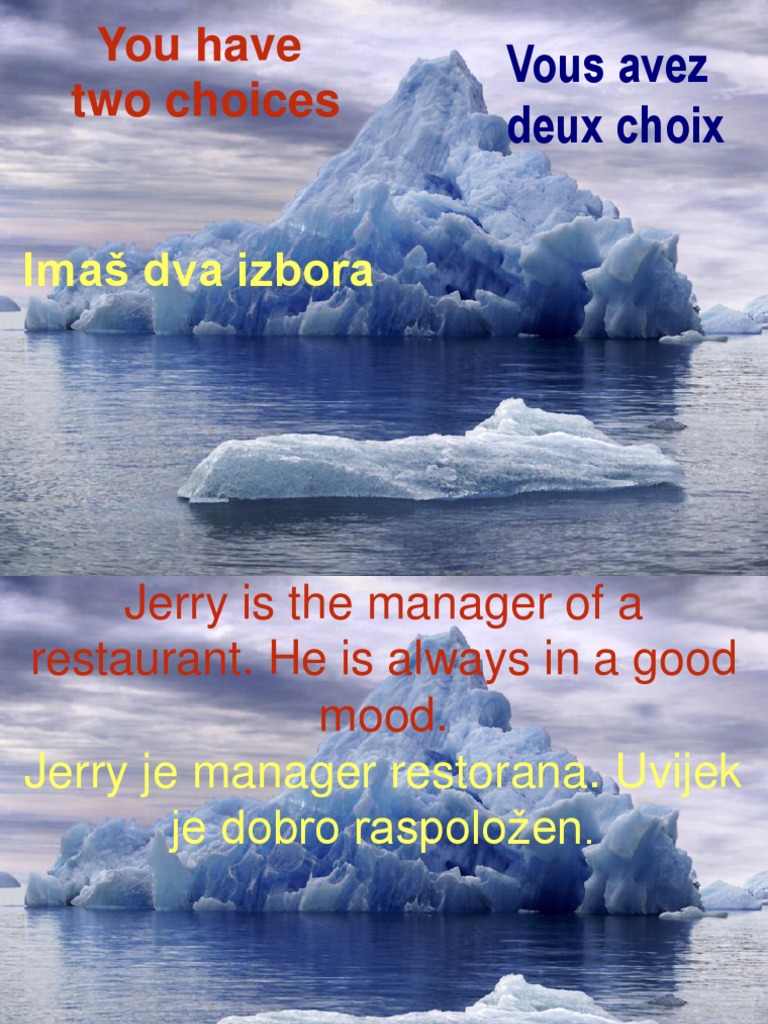 You Have Two Choices: Vous Avez Deux Choix | PDF