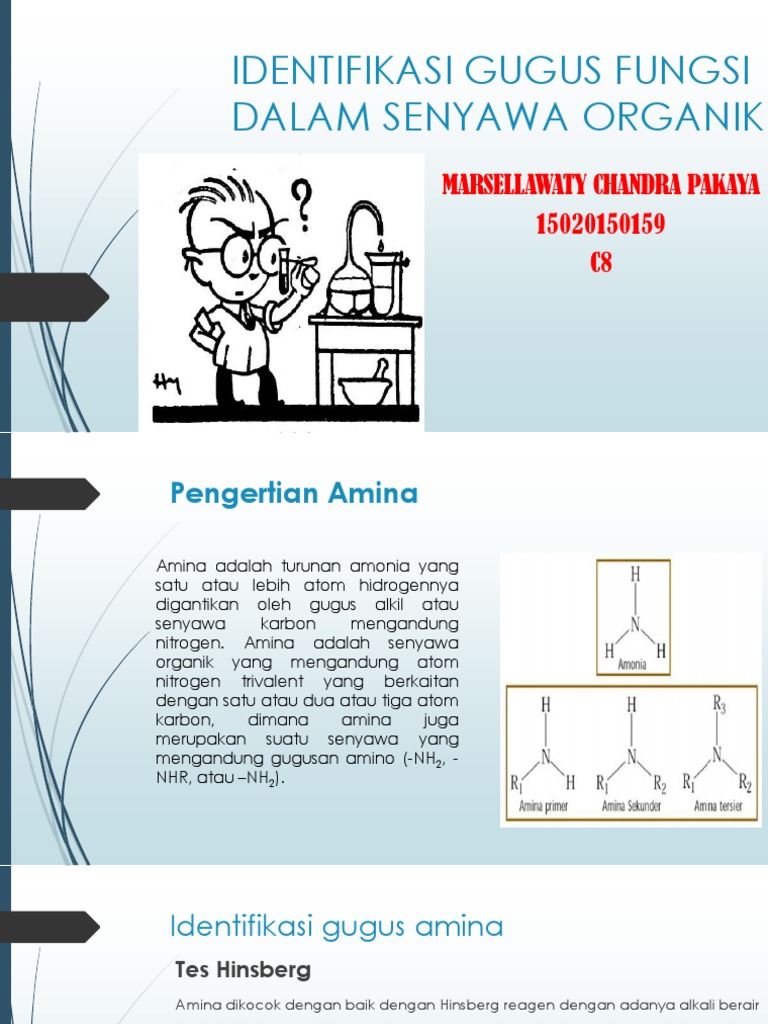 Identifikasi Gugus Amin | PDF