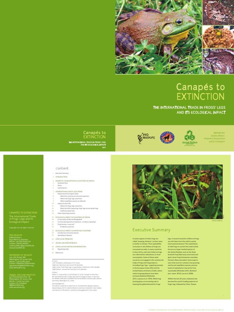 The International Trade in Frogs' Legs PDF | PDF | Frog | Amphibian