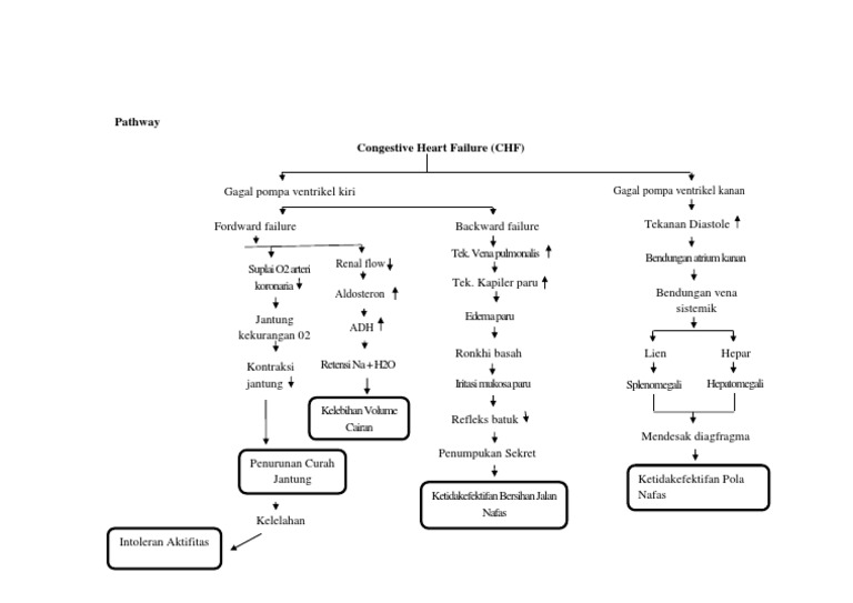 Pathway Congestive Heart Failure (CHF) : Gagal Pompa Ventrikel Kanan | PDF