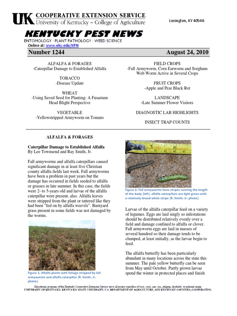 Kentucky Pest News August 24, 2010 | PDF | Germination | Alfalfa
