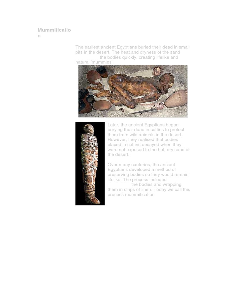 Mummification | PDF