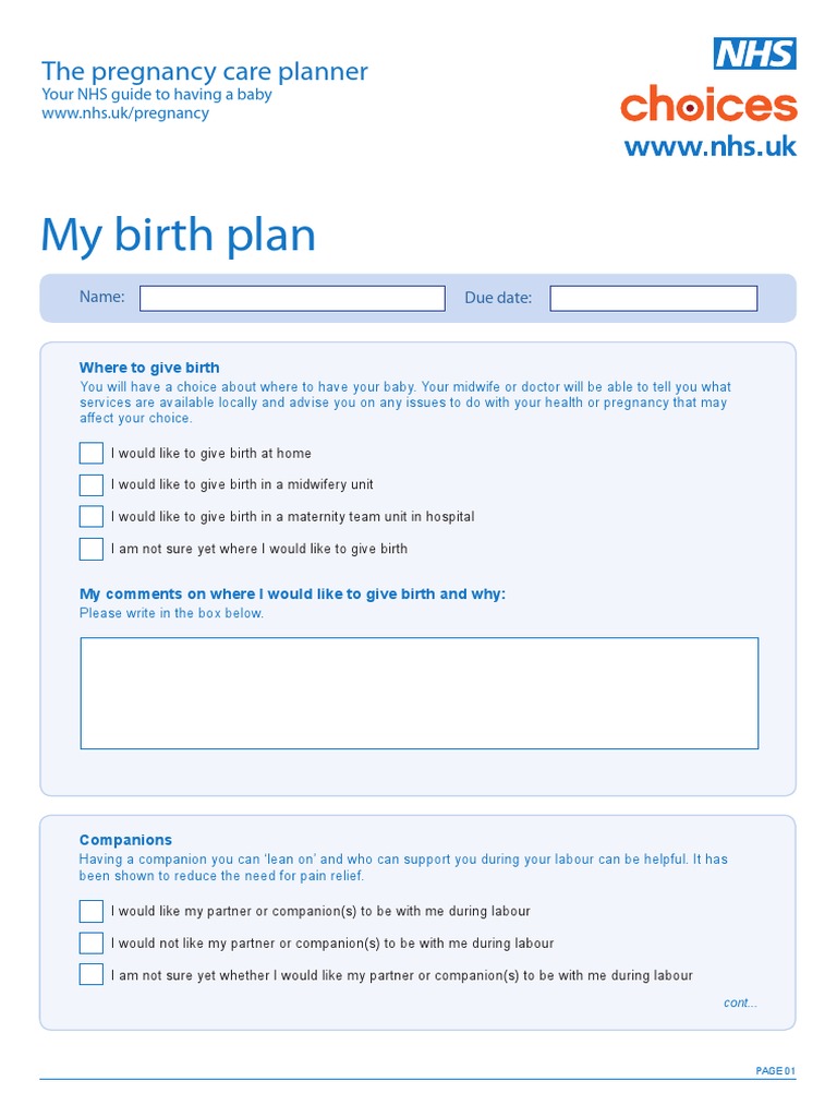 Birth Plan Blank Form NHS Choices Pregnancy Baby | PDF | Breastfeeding ...