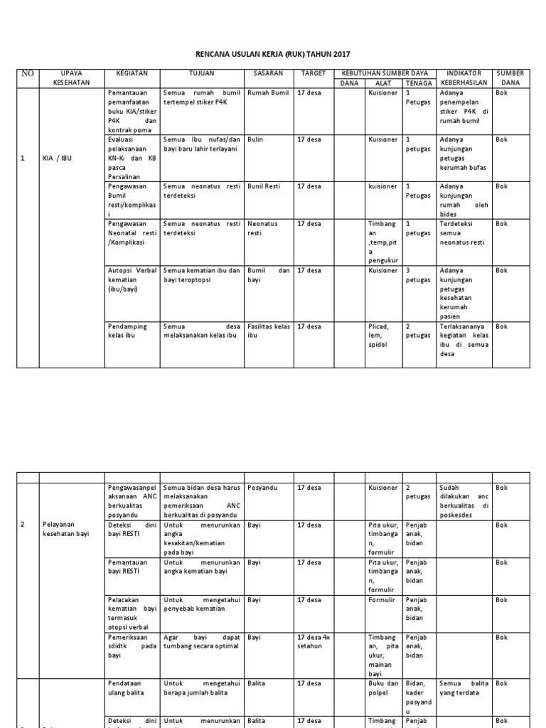 Rencana Kesehatan Ibu dan Anak | PDF