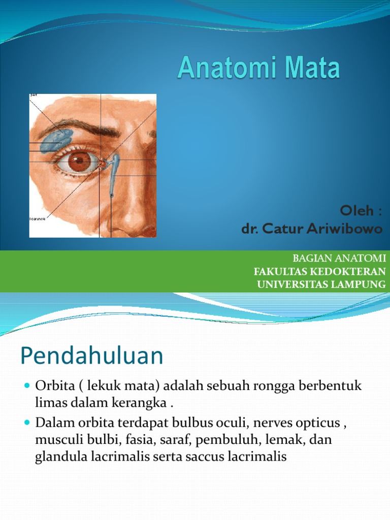 Anatomi Orbita dan Strukturnya | PDF | Sains & Matematika