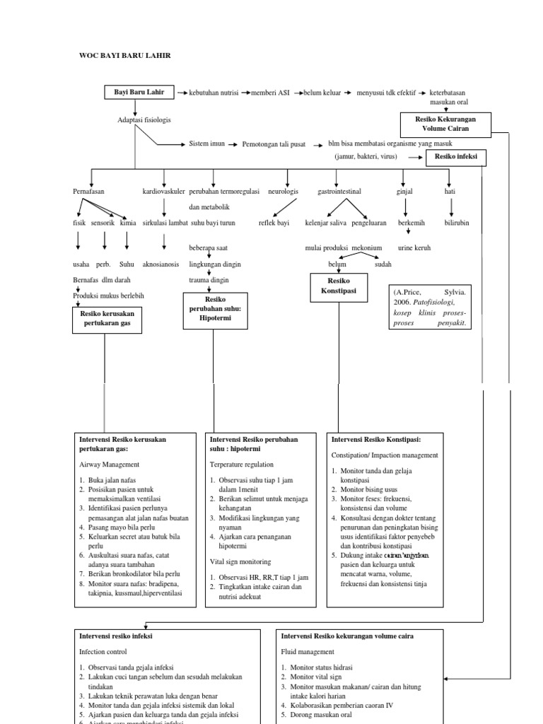Pathway Bayi Baru Lahir Fix | PDF