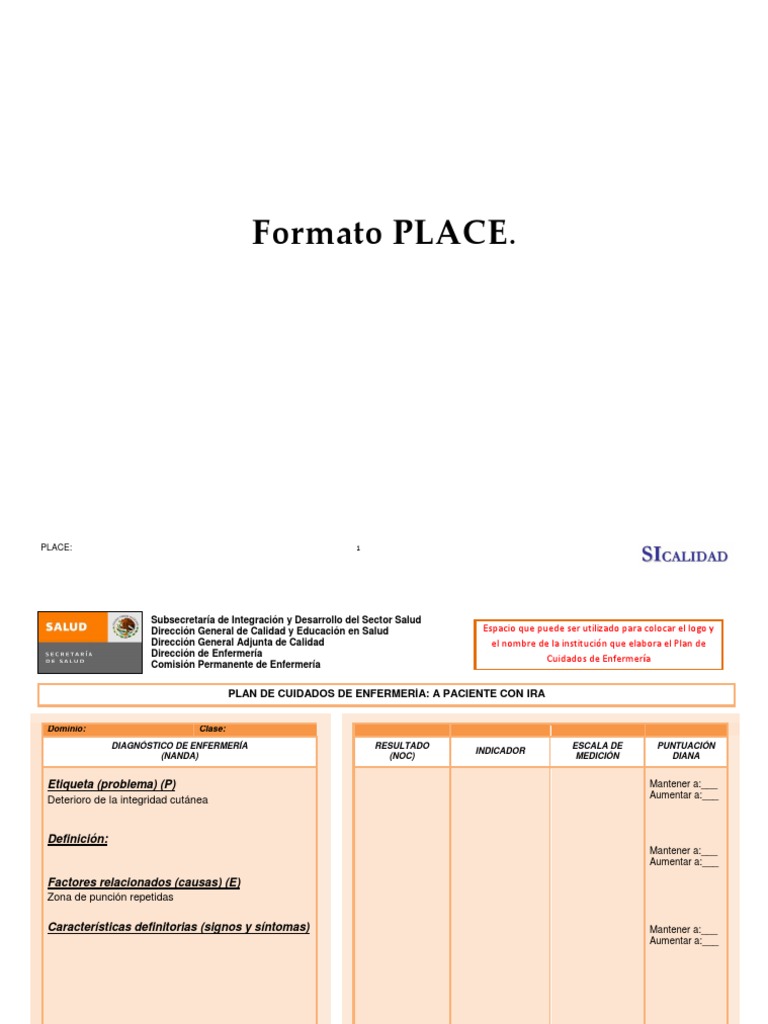 Formato PLACE | PDF | Ciencias de la Salud | Cuidado de la salud