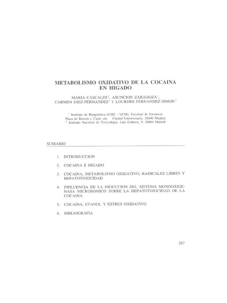 Metabolismo De La Cocaína Pdf