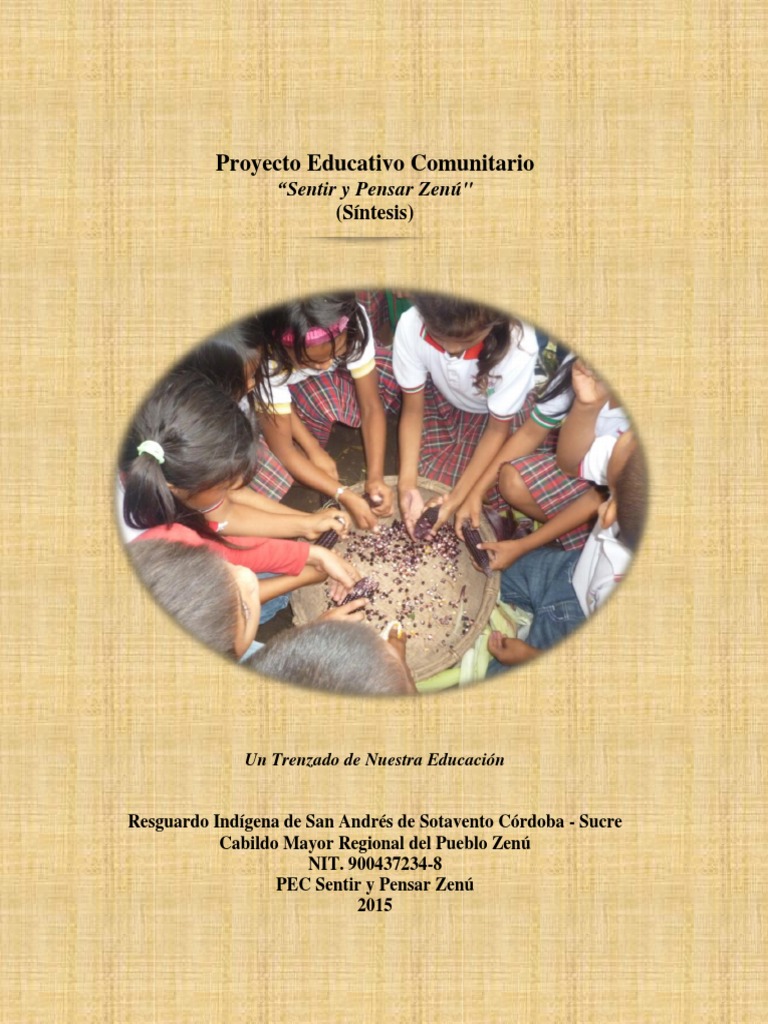Proyecto Educativo Comunitario | PDF | Plan de estudios | Jardín de infancia