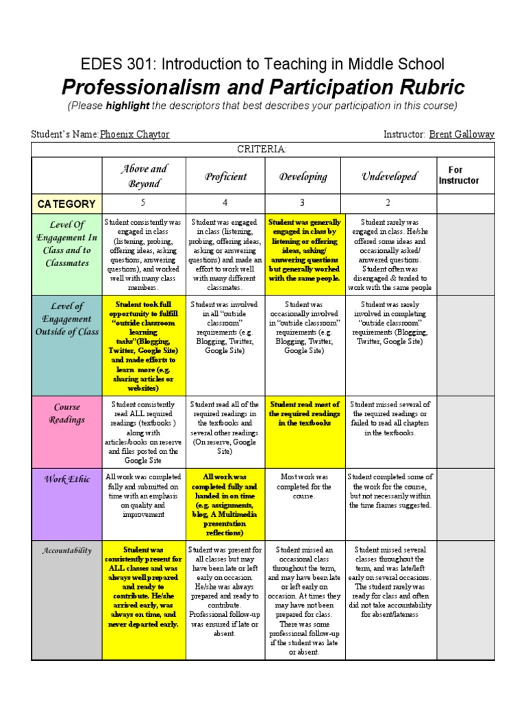 Professionalism and Participation Rubric | PDF | Cognition | Teaching