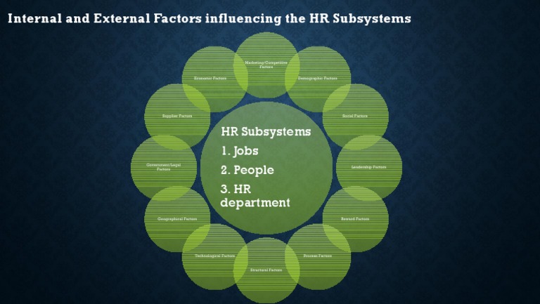 Internal and External Factors Influencing The HR Subsystems | PDF