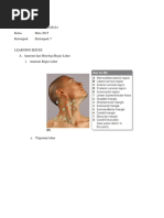 Regio Kepala Dan Leher Anatomi Topografi | PDF