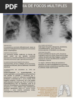 Micro, Matro y Macroambiente PDF | PDF | El embarazo | Embarazo Mamífero