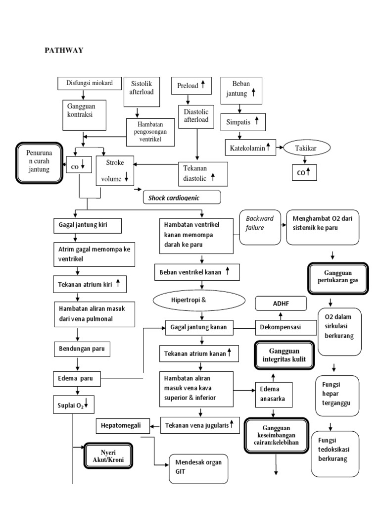Gagal Jantung: Penyebab dan Dampaknya | PDF
