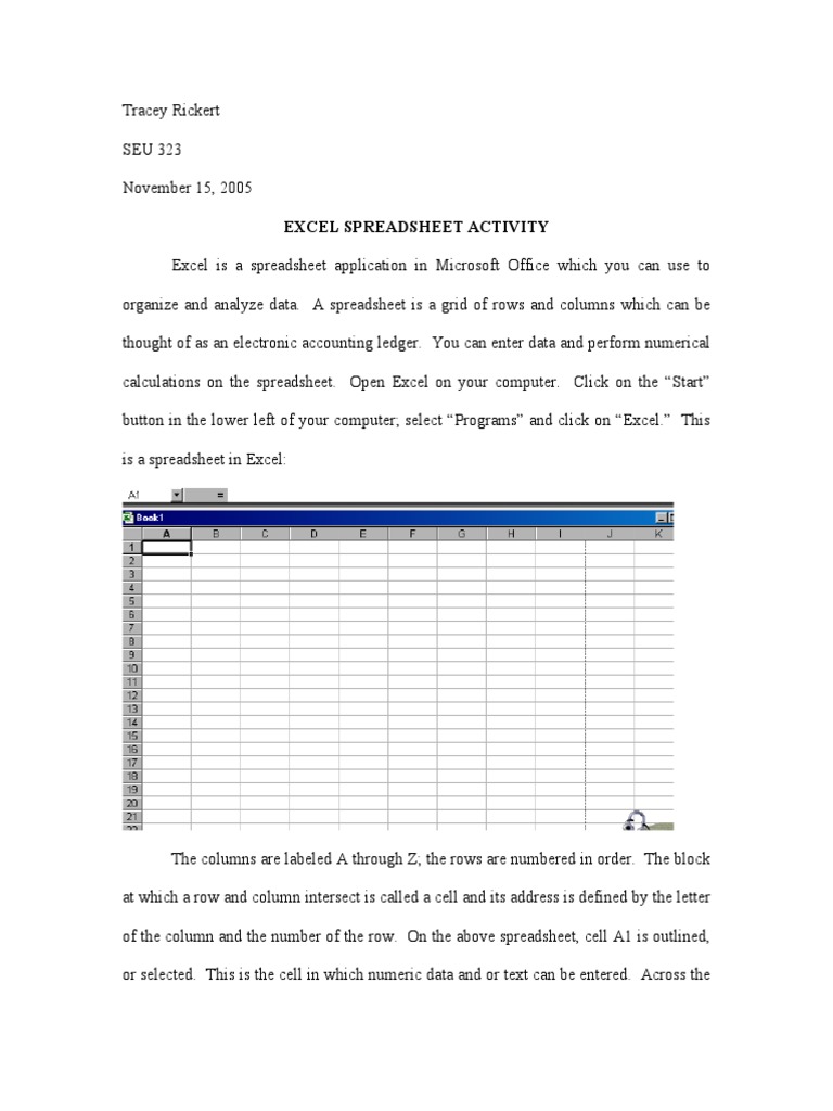 Excel Spreadsheet Activity | Download Free PDF | Spreadsheet ...