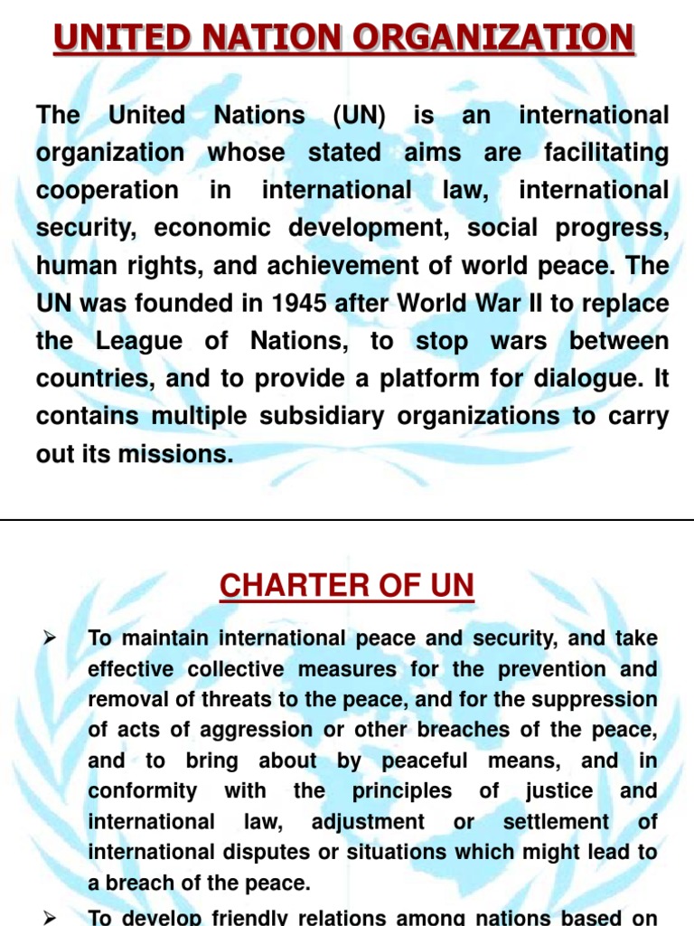 Overview of the United Nations System | PDF | International Labour ...