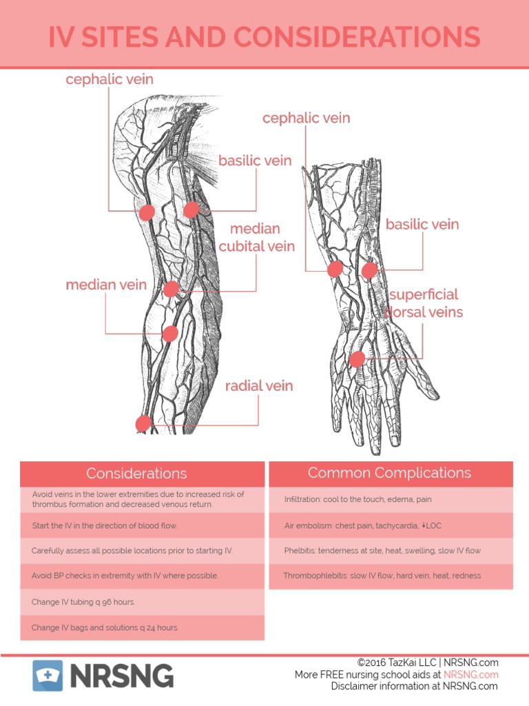 Fund 1.04 Vein Sites | PDF