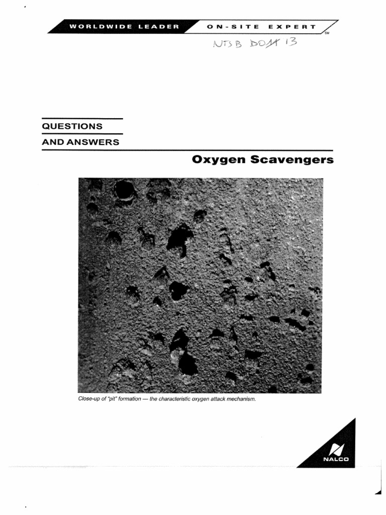 Scavenger Eliminox | PDF