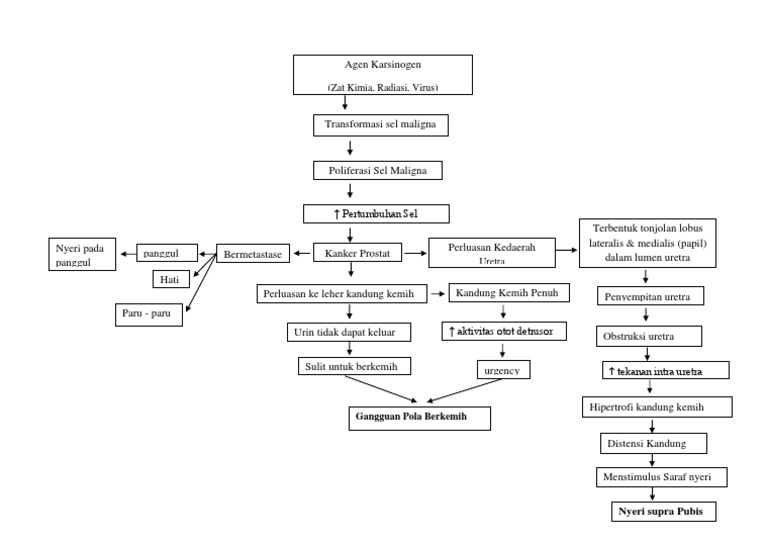 Pathway CA Prostat | PDF