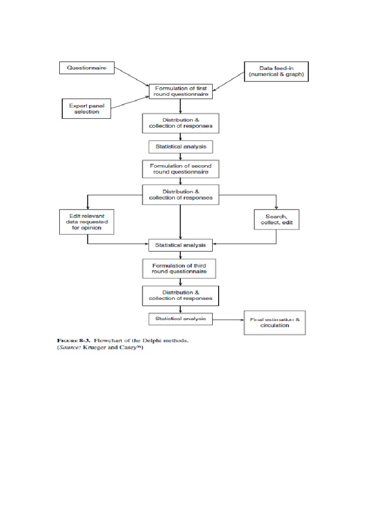 Flowchart DELPHI | PDF