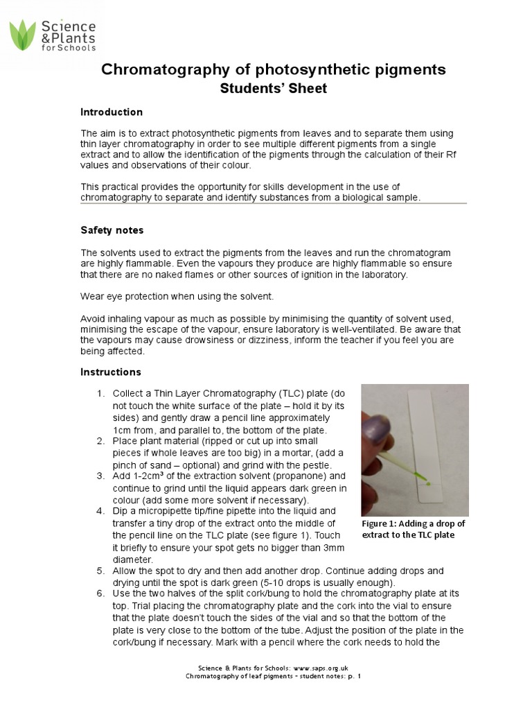 SAPS - Chromatography of Photosynthetic Pigments - Student Notes | PDF ...