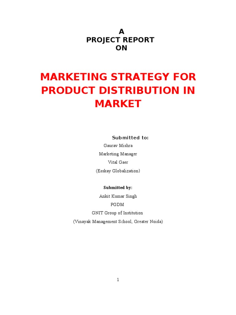 Marketing Strategy For Product Distribution in Market: A Project Report ...