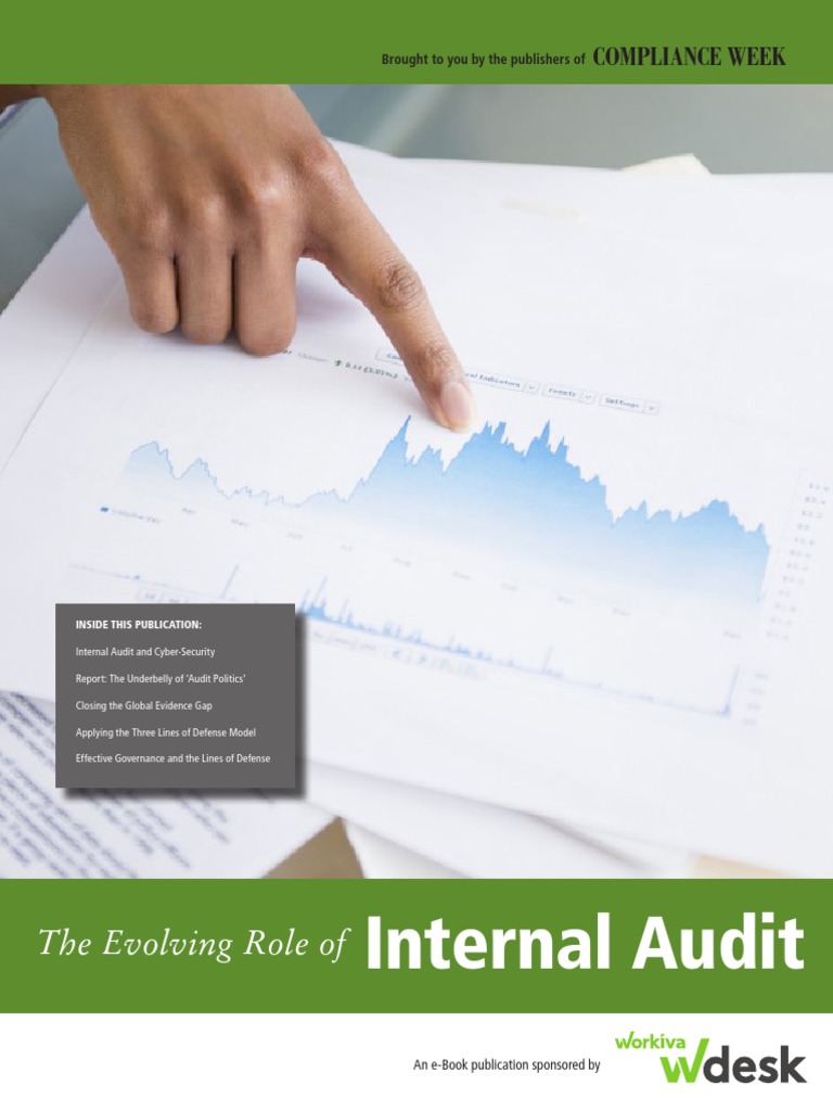 Workiva Internal Audit E-Book | PDF | Internal Audit | Internal Control