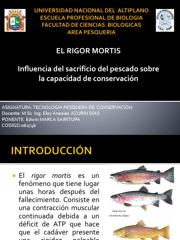 Rigor Mortis en Pescado y Conservación | PDF | Músculo | Contracción ...