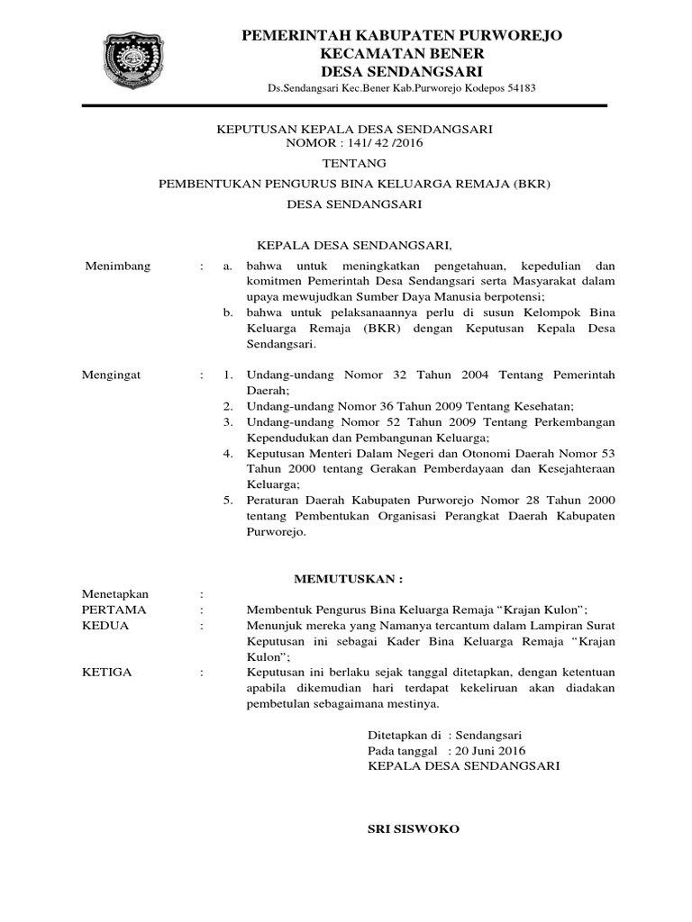 SK BKR (Bina Keluarga Remaja) | PDF