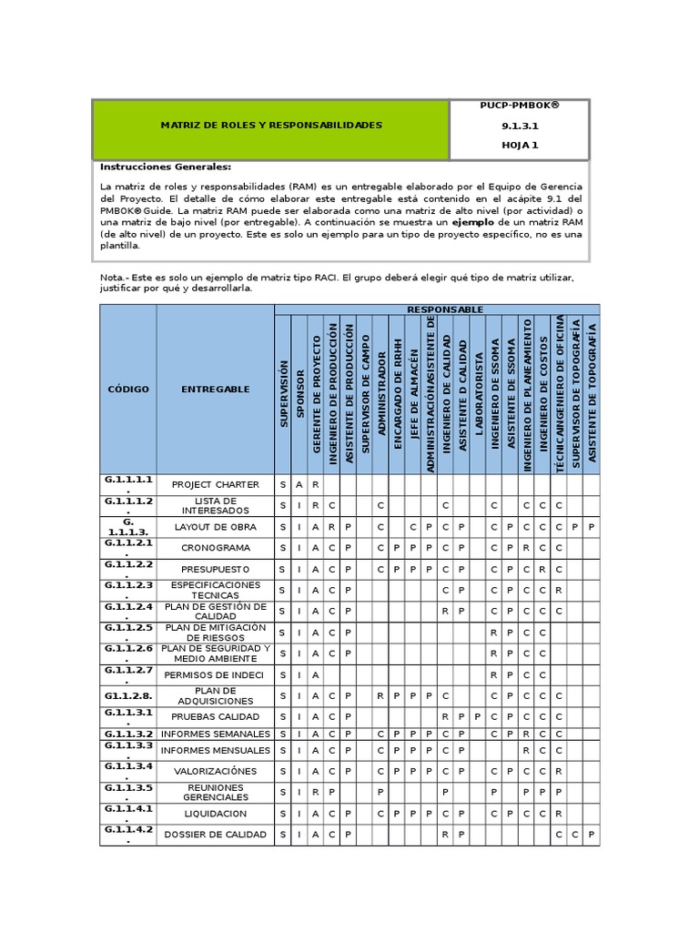 Matriz De Roles Y Responsabilidades