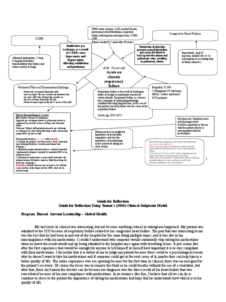 Acute Care Concept Map 5 | PDF | Heart Failure | Lung