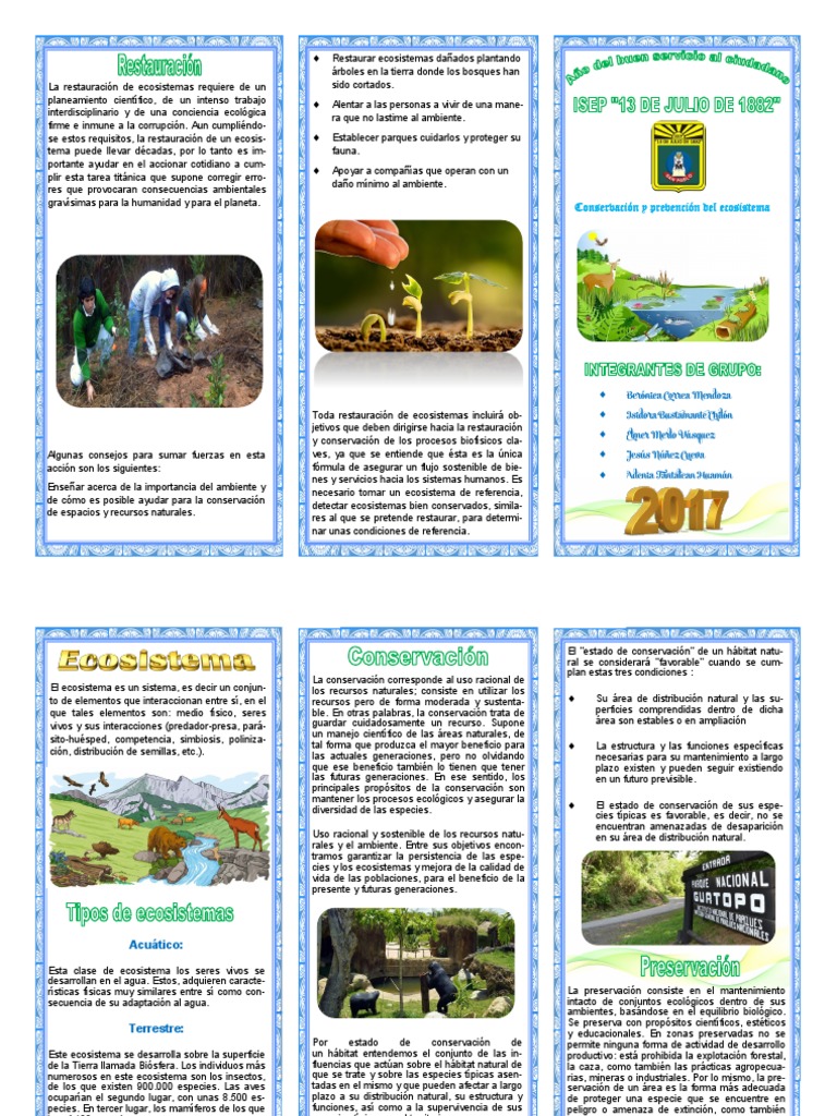 Ecosistema - Triptico | PDF | Ecosistema | Ecología