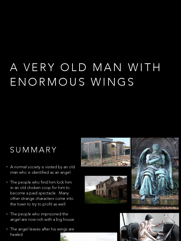 Wings Presentation | PDF