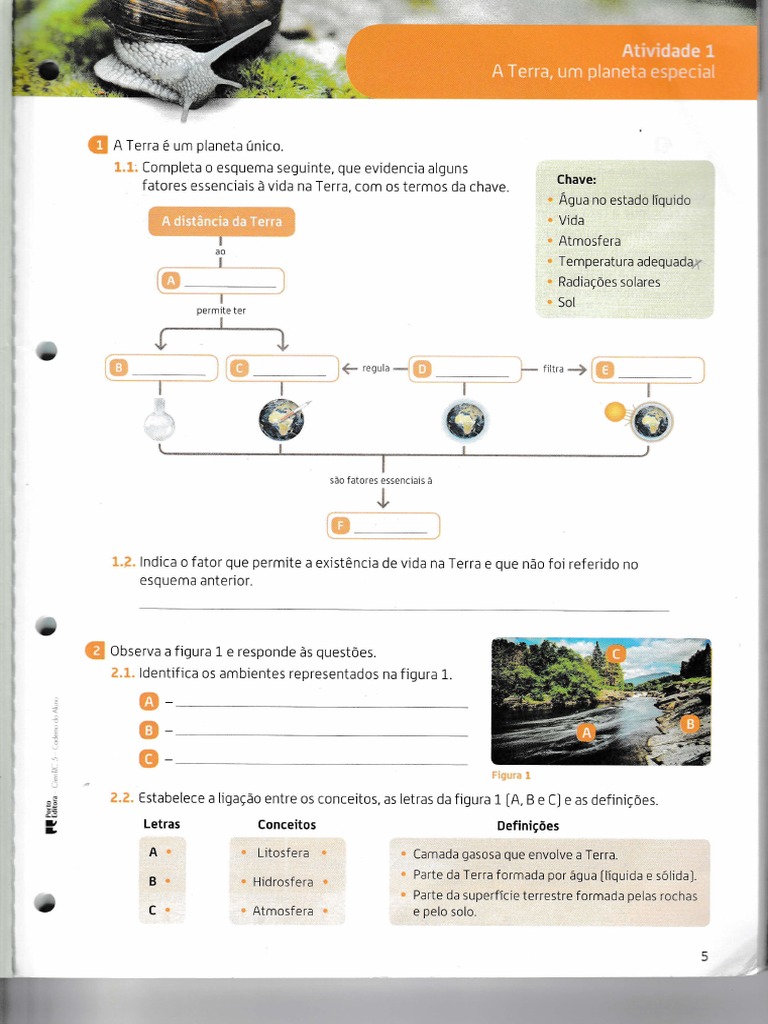 CN5 A Terra e o Solo Exercicios | PDF | Solo | Terra